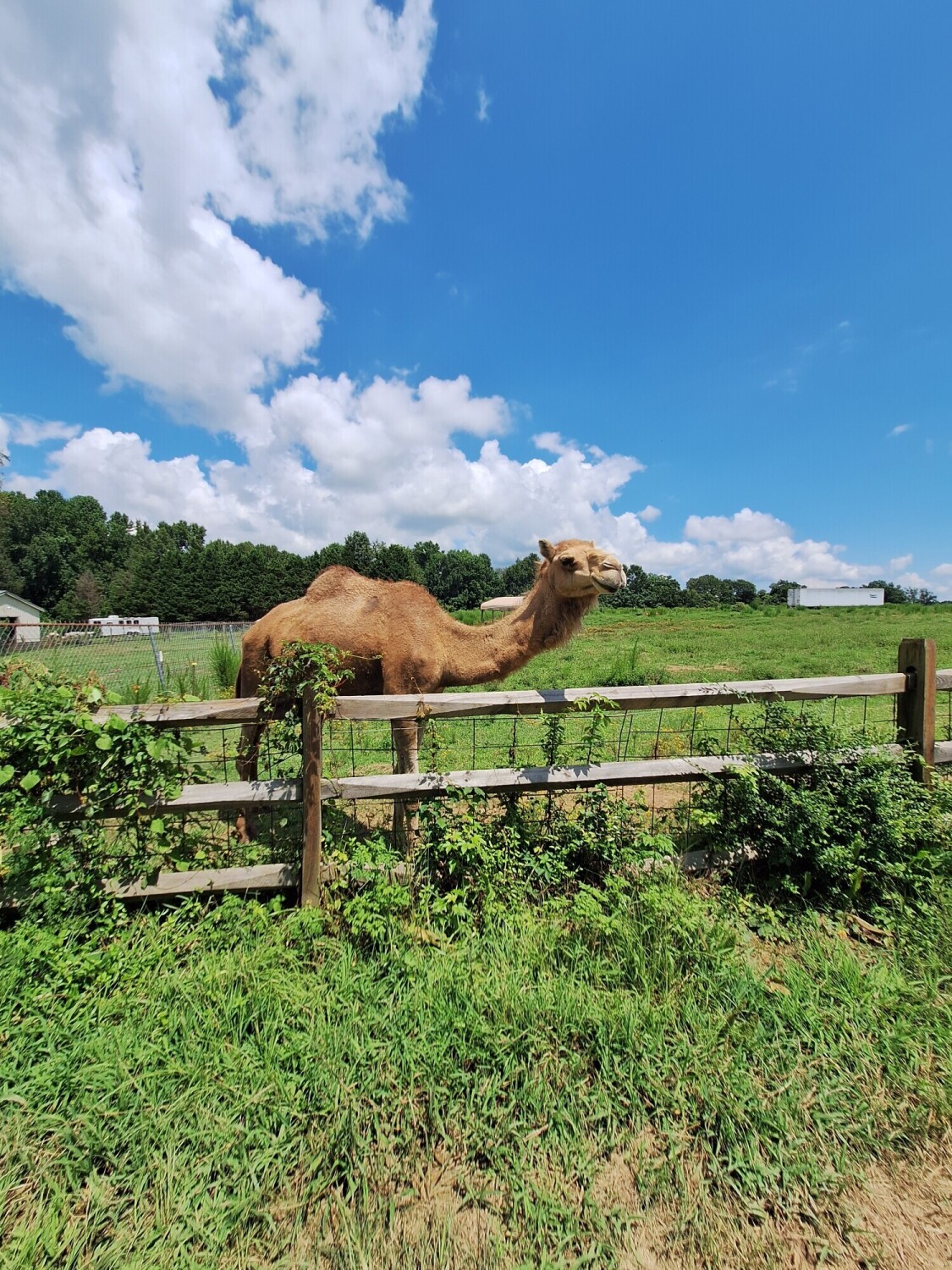 Competition Page | The Art of Nature | Ashley Roman | This photo ...