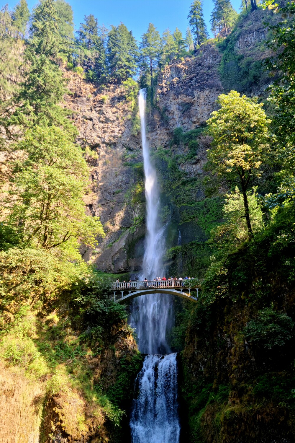 Competition Page | Multnomah Falls | Colleen Shank | Multnomah Falls ...
