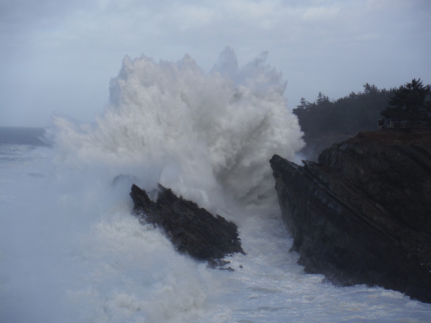 Competition Page | Making a Big Splash | Kim R. Greene | In the right ...