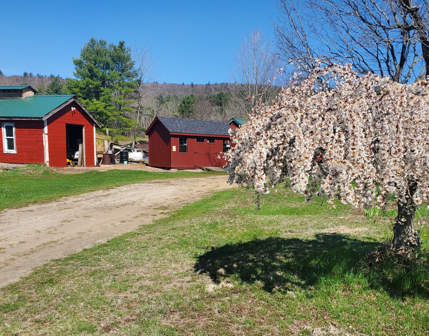Competition Page | Hanging Mountain Farm | Anita Aloisi | Springtime on ...