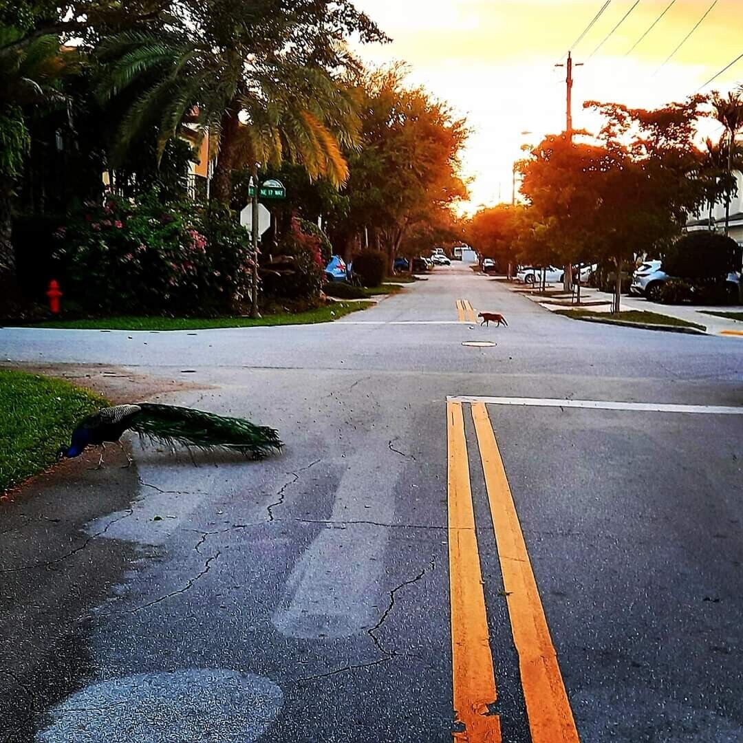 America’s Favorite Photos Competition Page | Interesting Intersection | Daniel Ross | I was ...