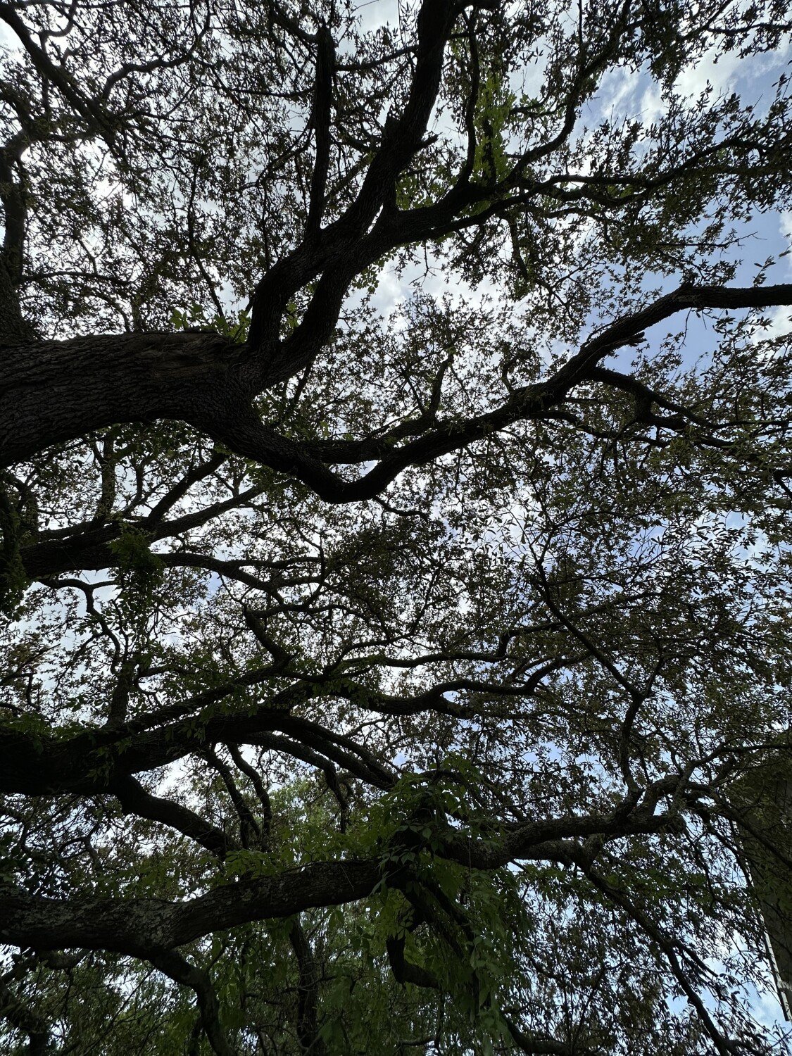 America’s Favorite Photos Competition Page | Mystical | Kimberly ...