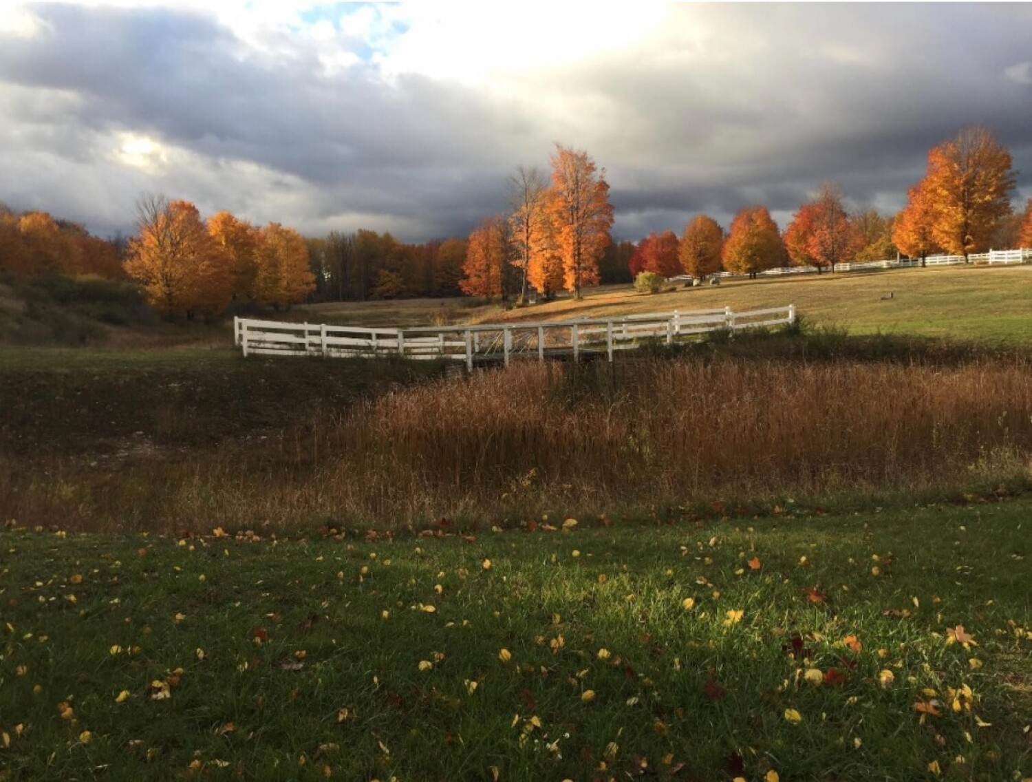 Competition Page | Fall in Northern Michigan | Shirley Matz | Taken in ...