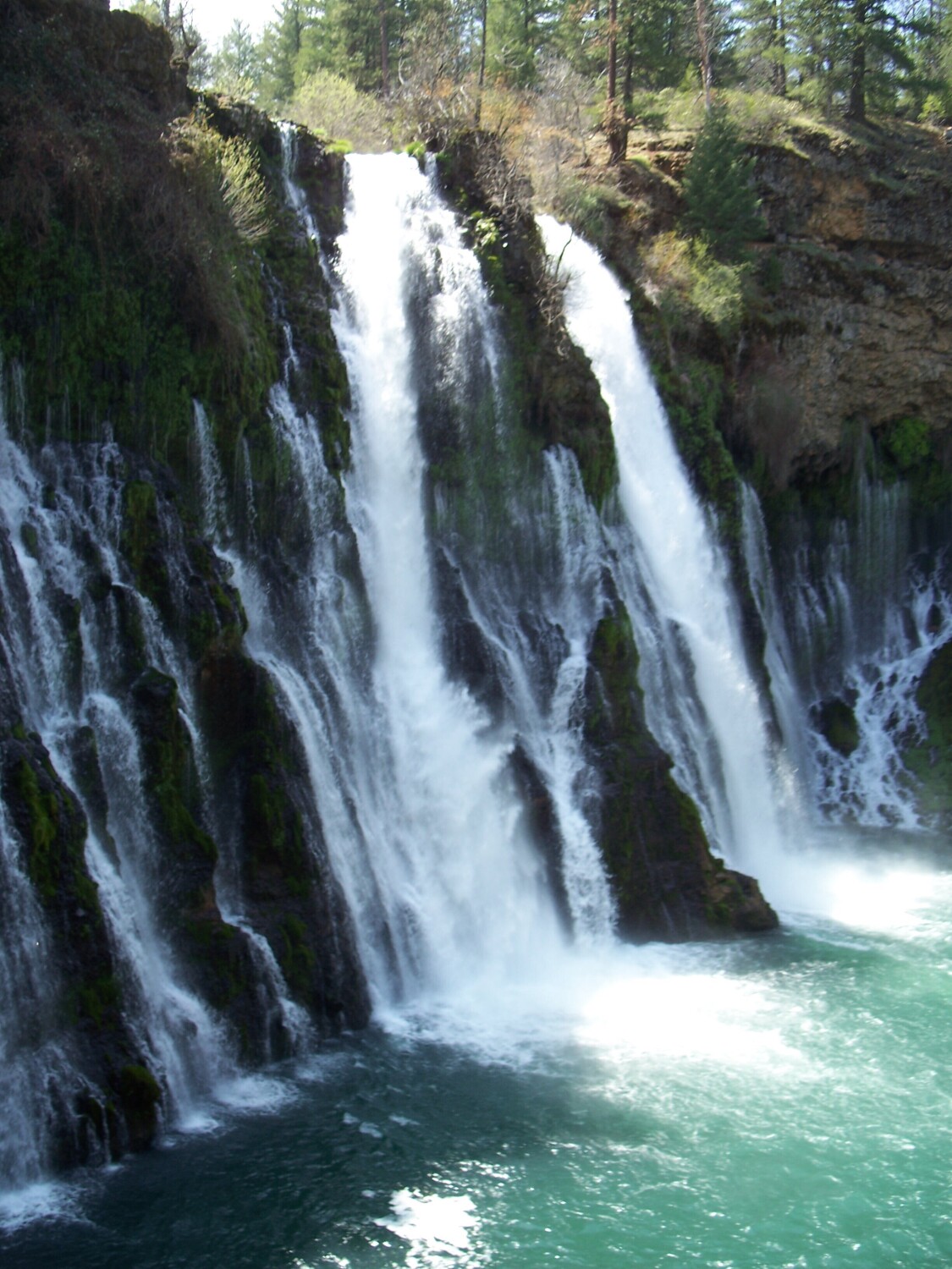 Competition Page | First time my fiancé saw Burney Falls. | Holly ...