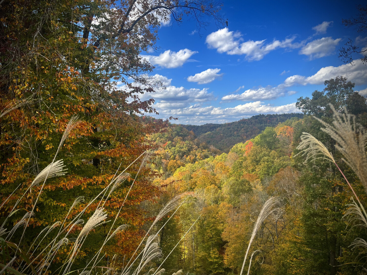 Competition Page | Appalachian Autumn | Douglas Cornett | The hills of ...