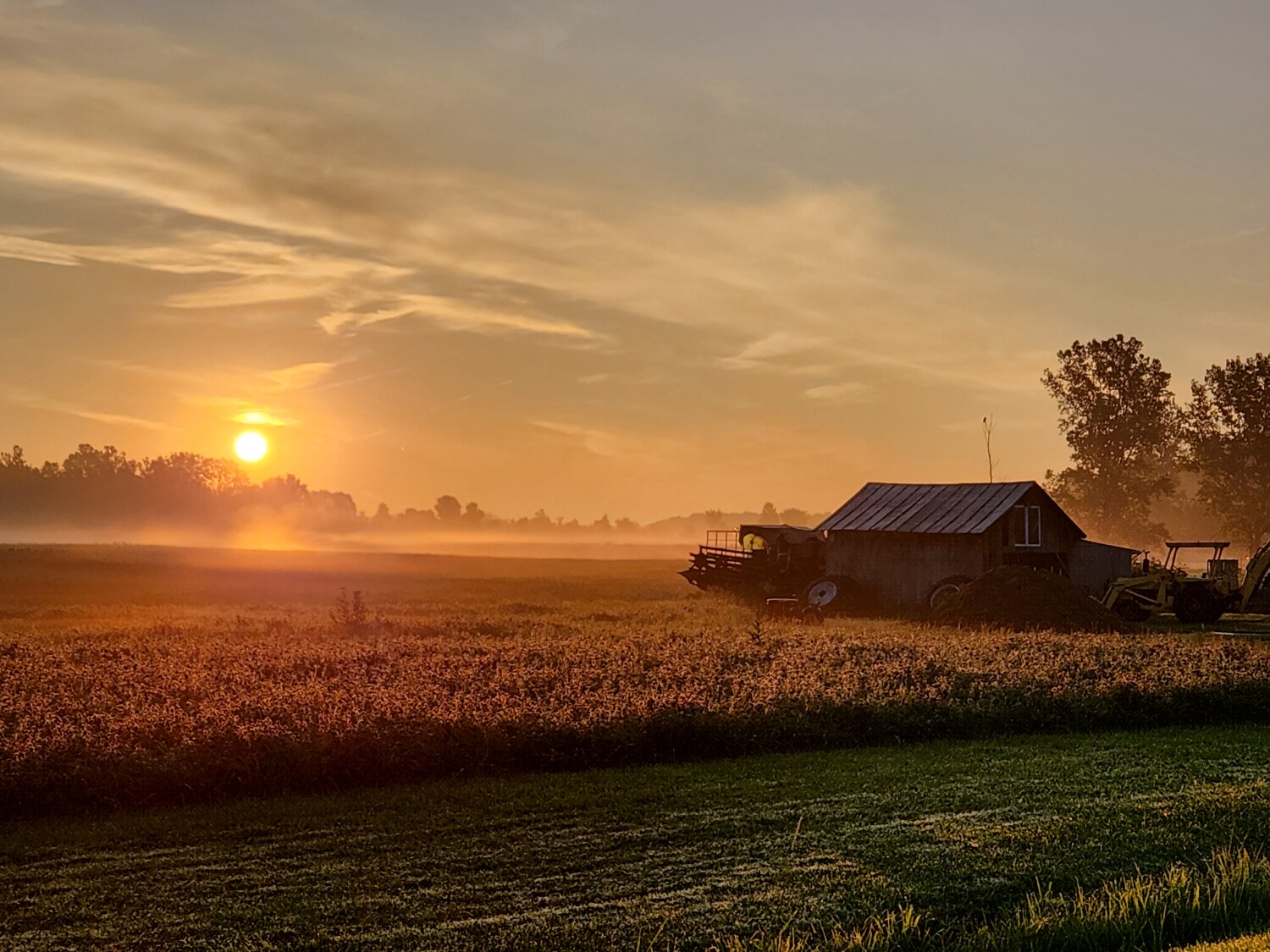 America’s Favorite Photos Competition Page | Sweet summer haze | Karen ...