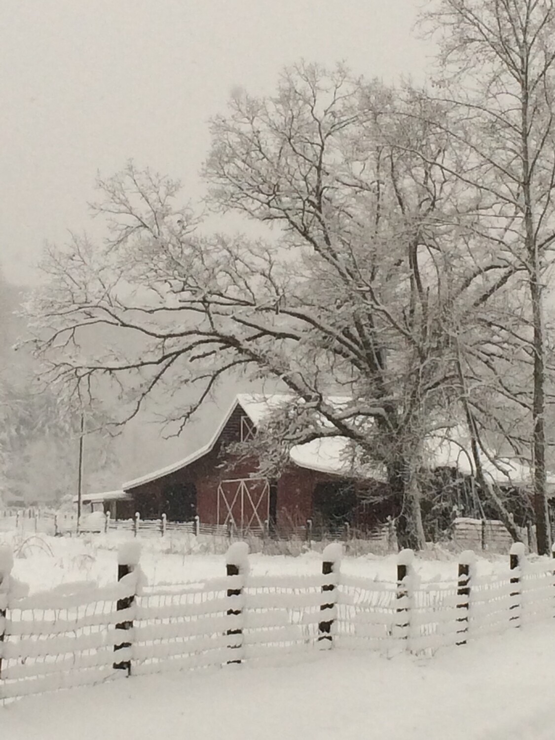 Competition Page | Ol Red | Erin Thurman | I took this in the hollar in Kentucky where I lived ...