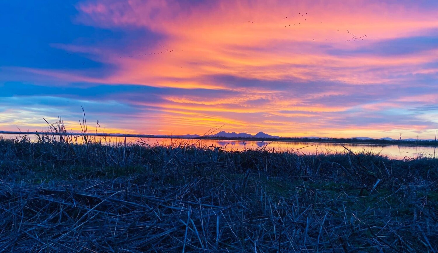 Competition Page | Sutter buttes | Kassandra Banuelos | Capturing the ...