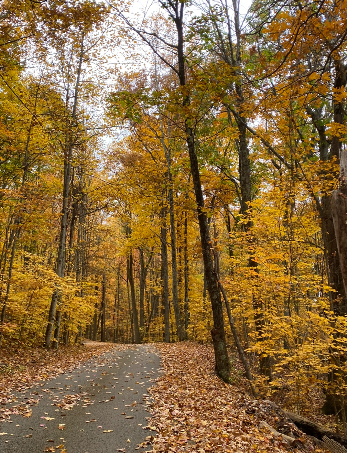 Competition Page | Festive Fall | Ineze Frasure | My day with friends ...