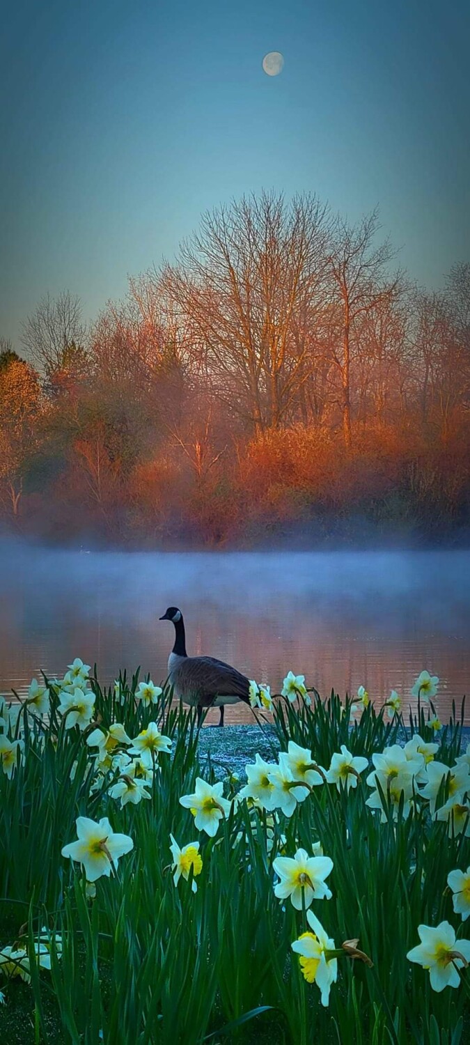 America’s Favorite Photos Competition Page | Layered glory | Rebecca ...