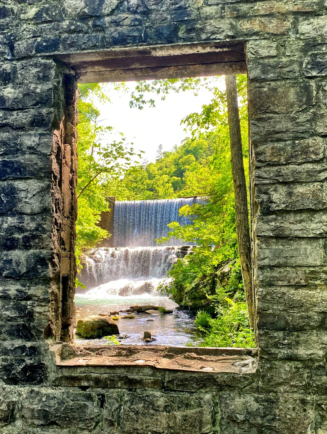 Competition Page | Through the eyes of long forgotten old Mill | ANN ...