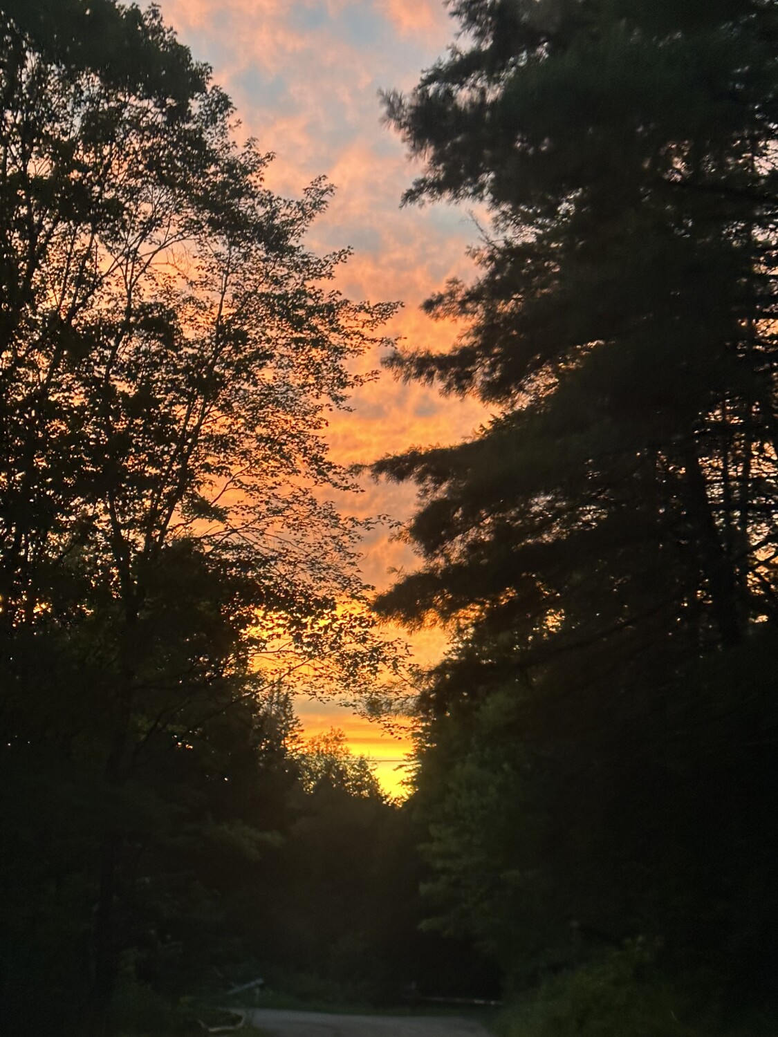 Competition Page | Evening drive | Tammy Provasi | I love the sunsets ...