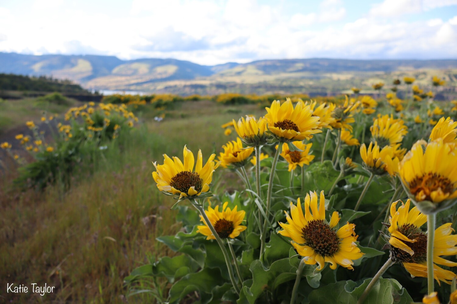 America’s Favorite Photos Competition Page | Wild Prairie | Katie ...