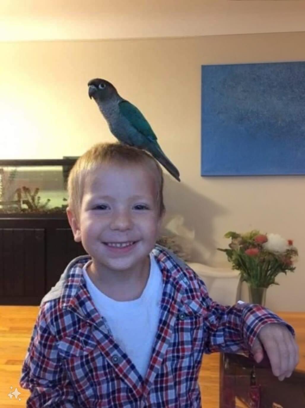 America’s Favorite Photos Competition Page | Bird Head | Diana Cole ...