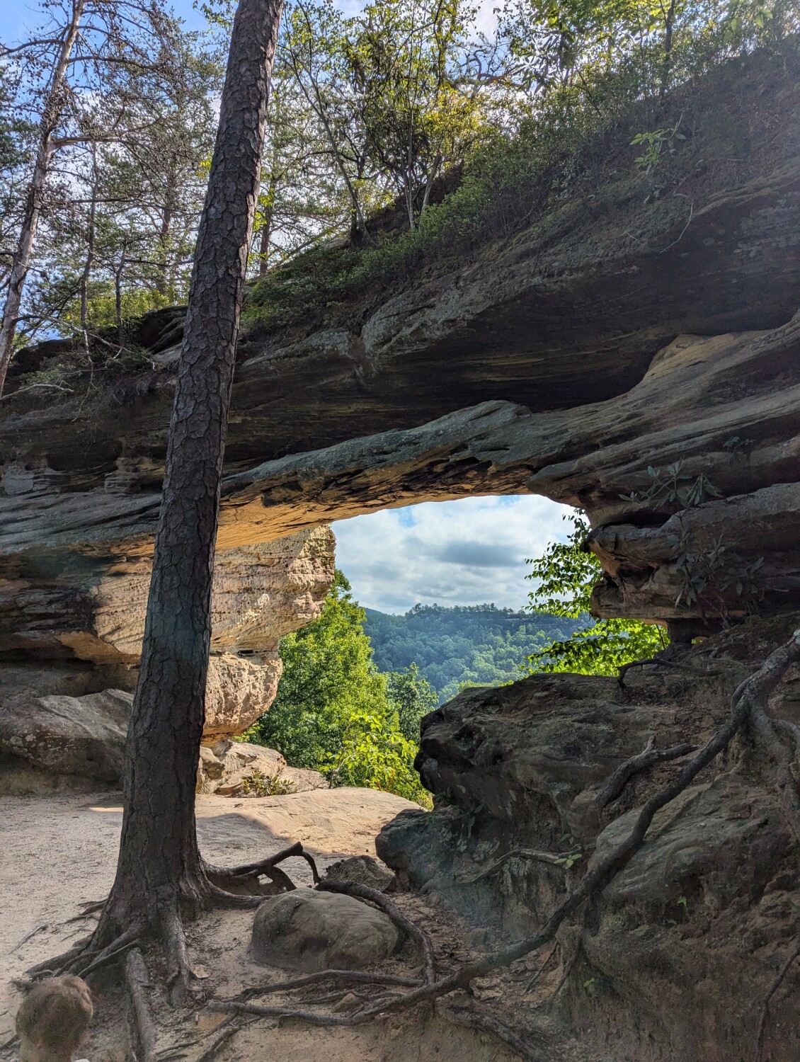 Competition Page | Natural Window | Ian Rowan | Natural Window There ...