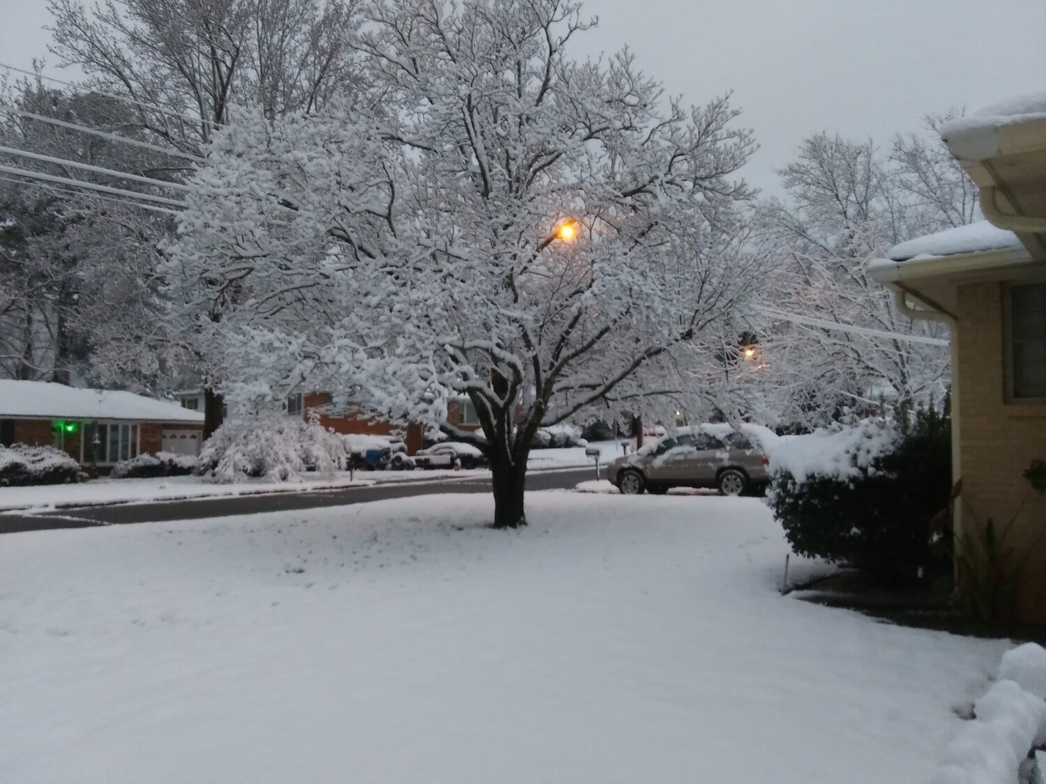 America’s Favorite Photos Competition Page | Snowstorm 2021 | ALISA ...