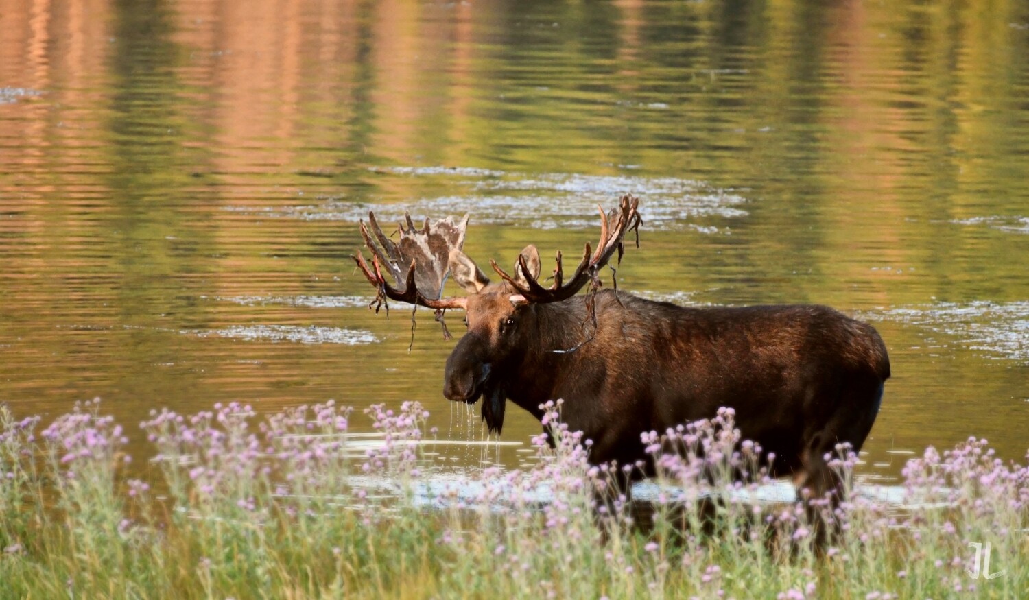 America’s Favorite Photos Competition Page | Early morning majesty ...
