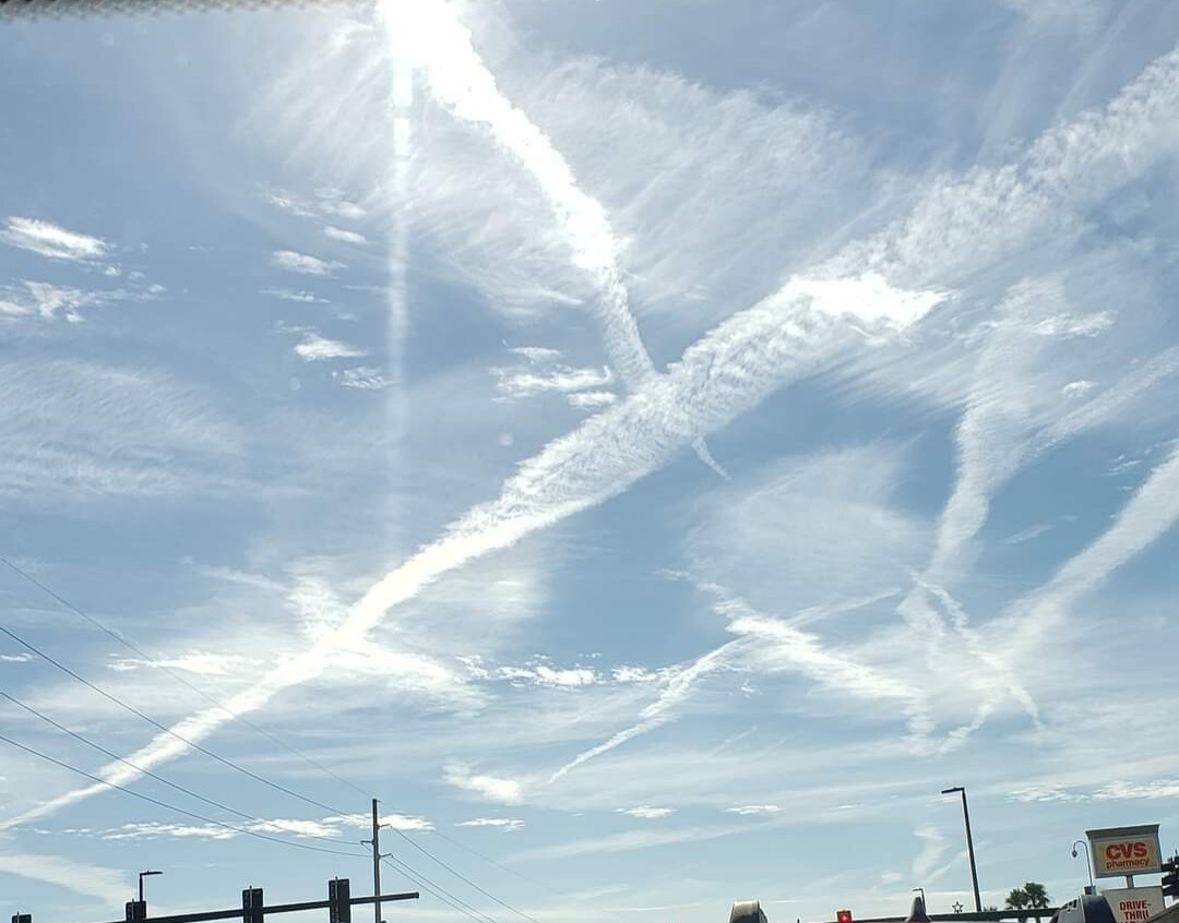 Competition Page | Angels Watching Over Me | Janice Harris | Riding ...