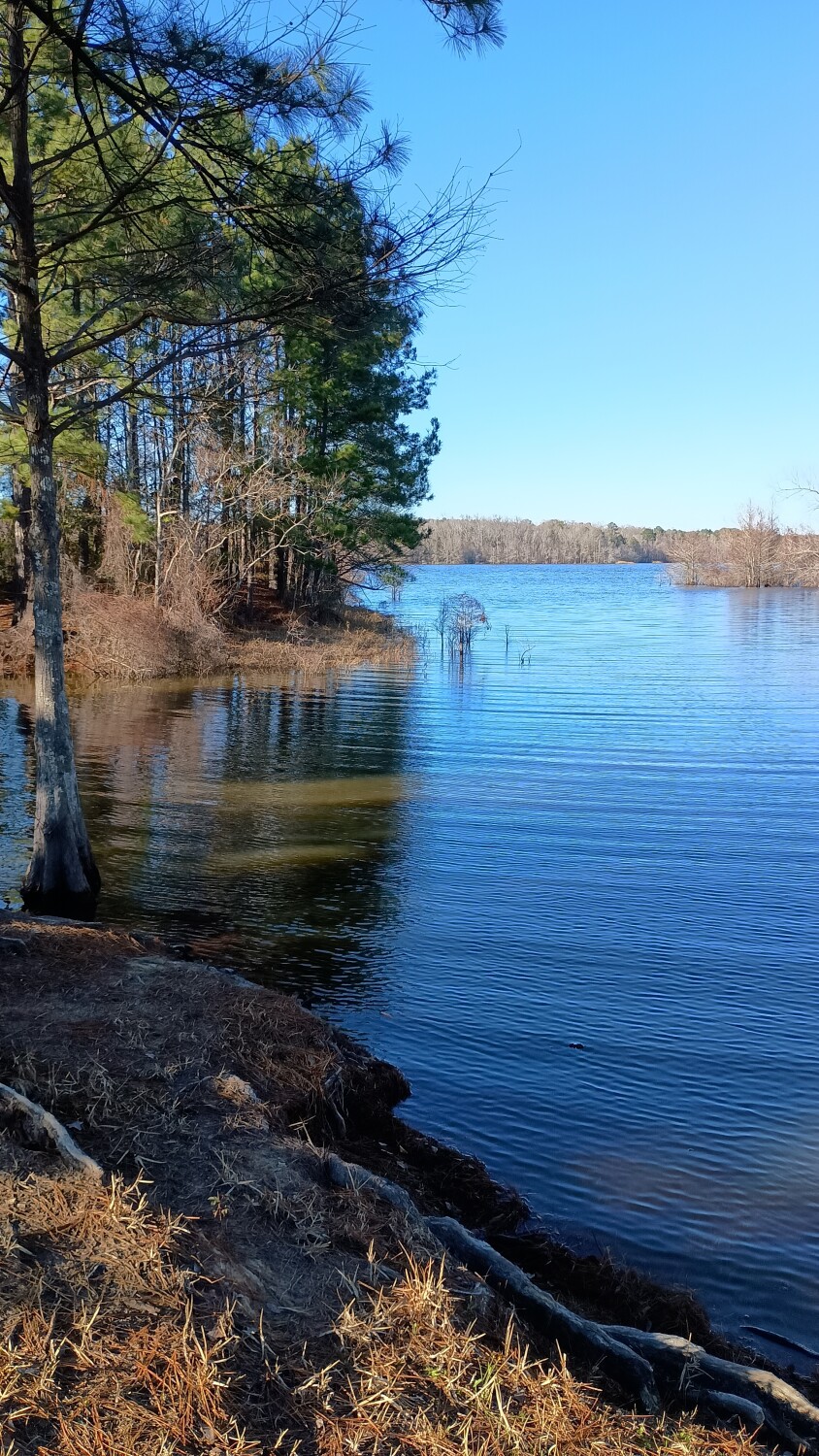 Competition Page | Shadow Blue Water | Sheila Langham | Shimmering ...