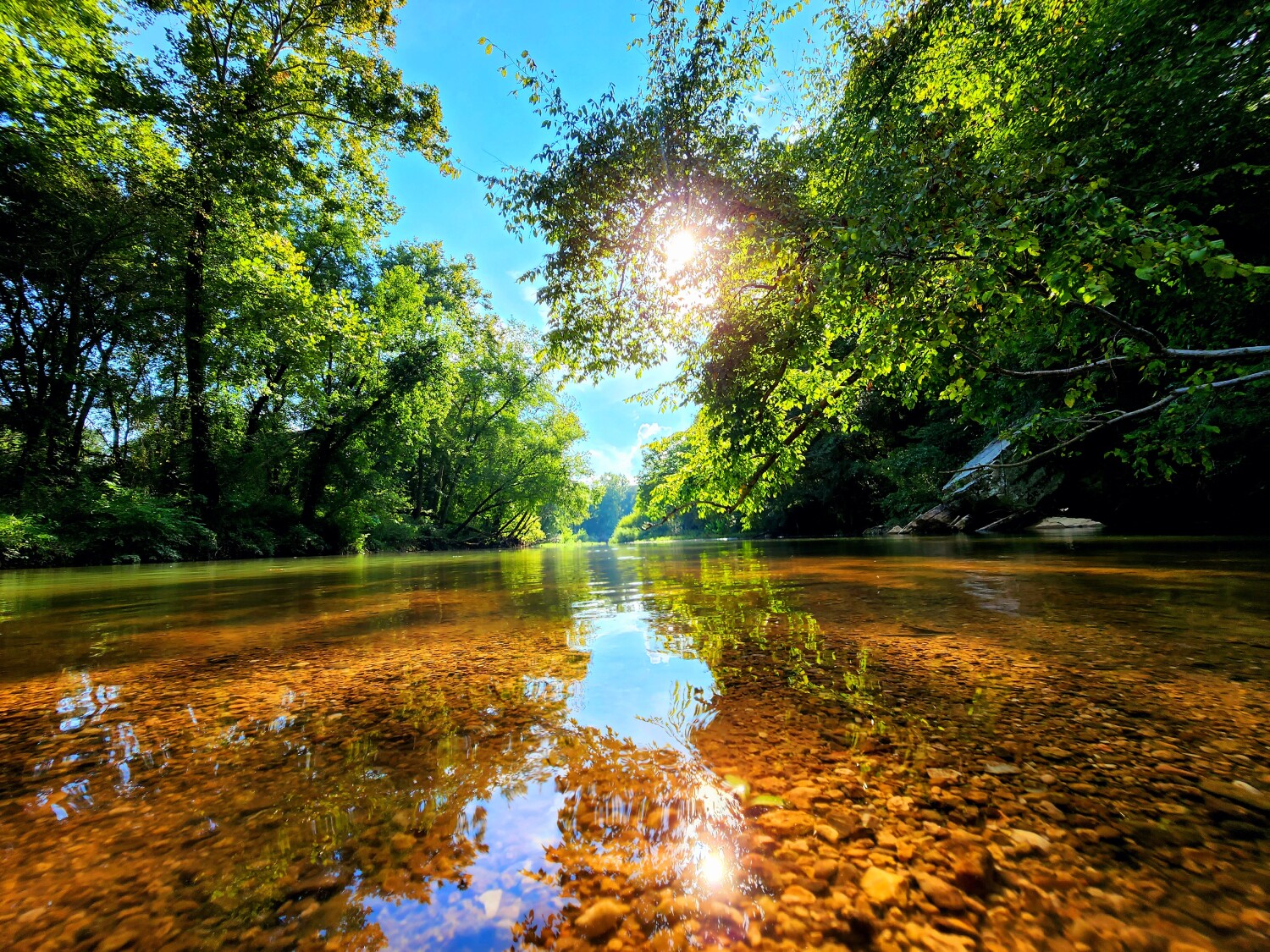 Competition Page | A Creek Walk | Preston Britt | Majestic Nature ...