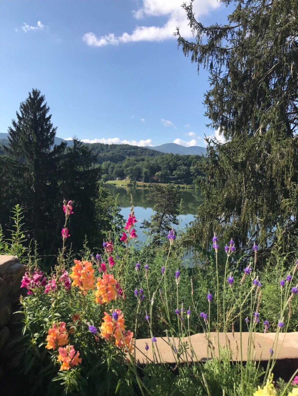 Competition Page | Lake Junaluska | Francine Bennett | My daily walk a ...