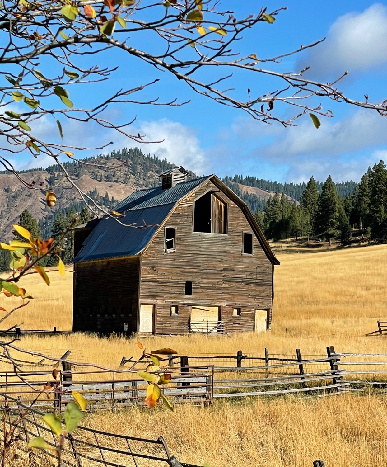 Competition Page | Old Barn Love | Leslie Affeldt | One of the most ...