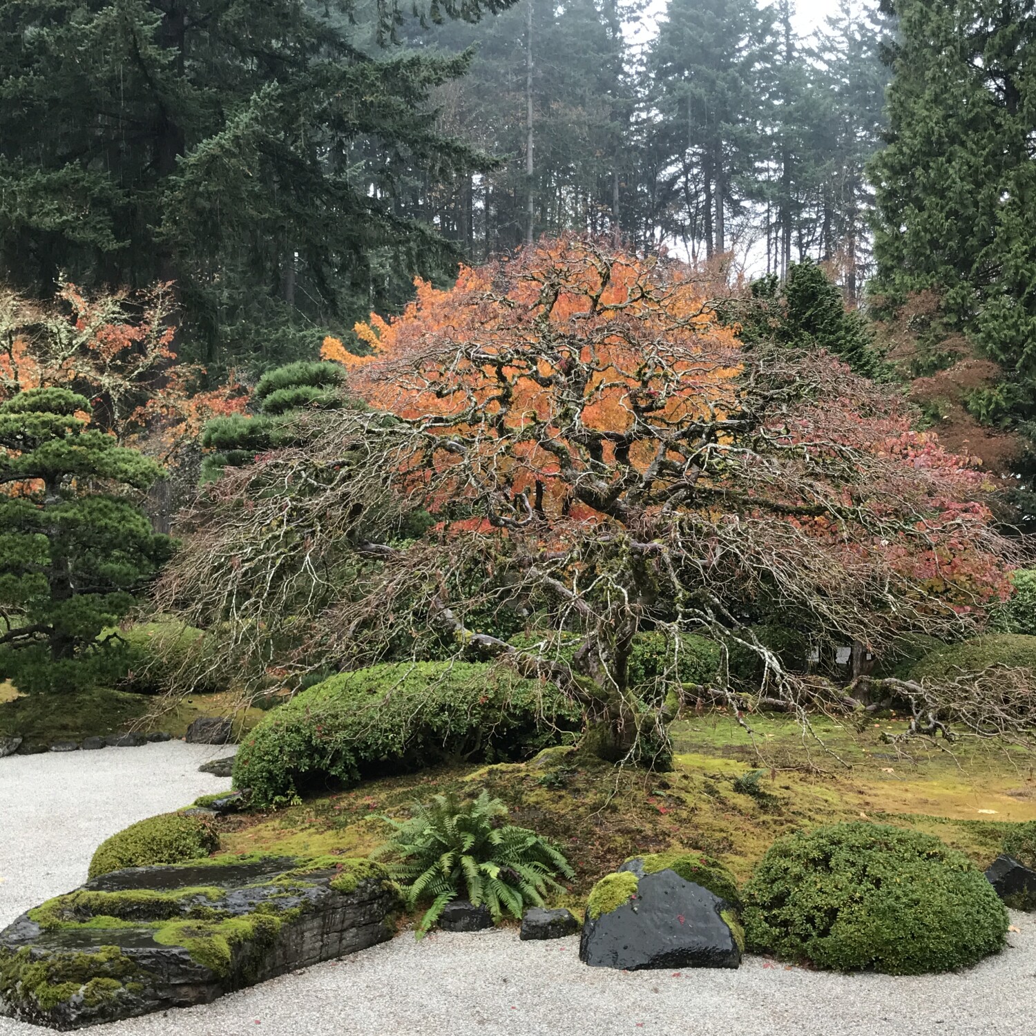 Competition Page | Fall eclipse | Tatyana Anzaldi | It was taken in ...