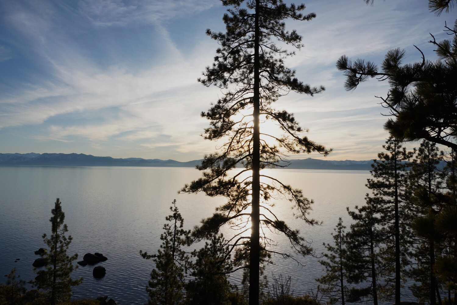 America’s Favorite Photos Competition Page | Setting Sun Behind a Tree ...