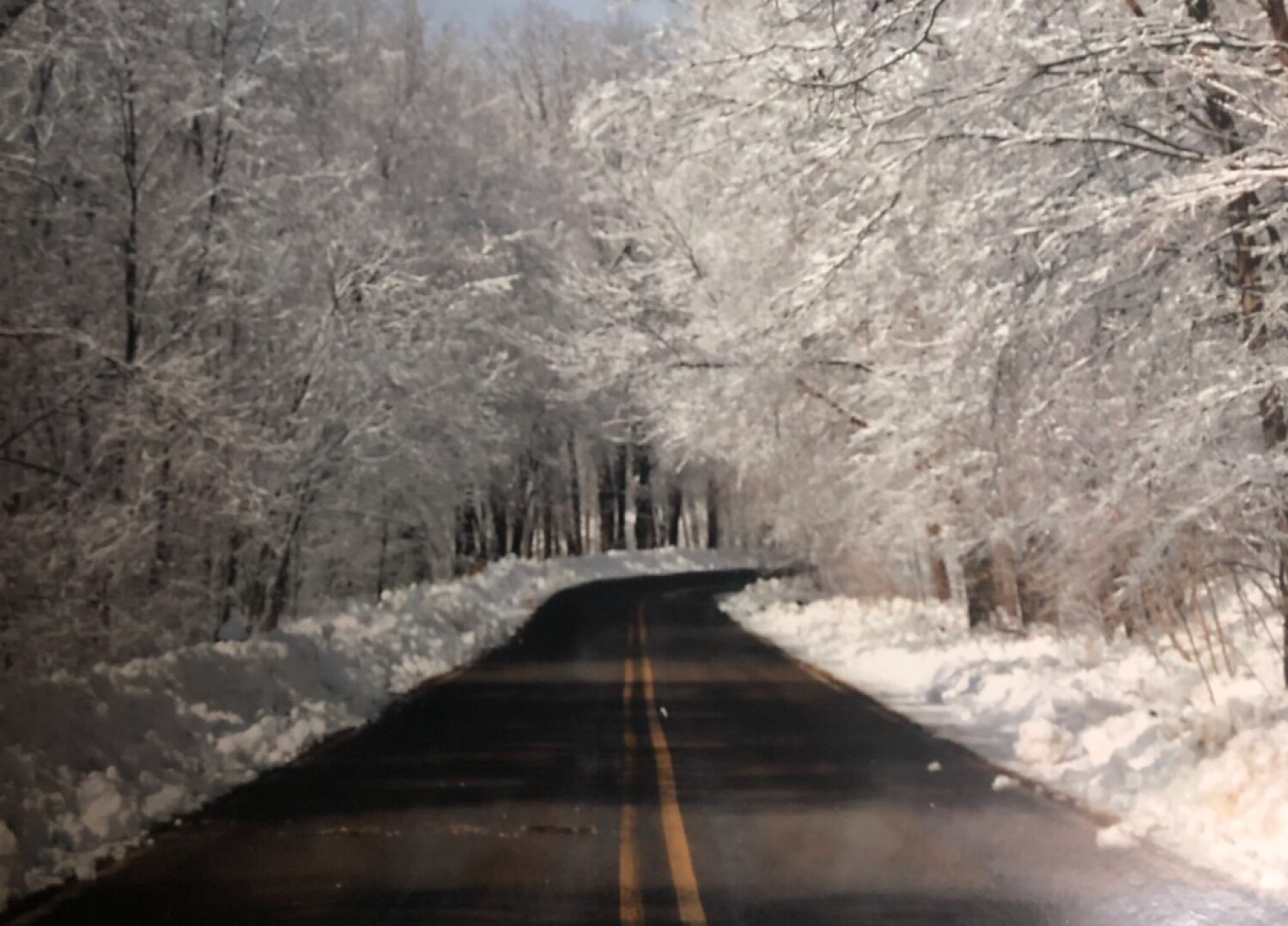 Competition Page | Ashe County Snow | Michelle Money | This is a ...
