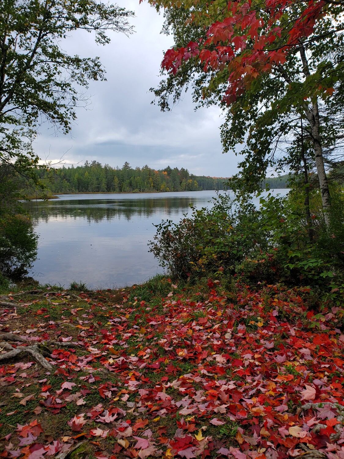 America’s Favorite Photos Competition Page | Up north | Jody Bishop ...