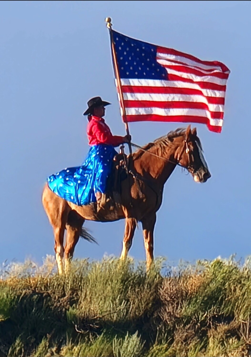 America’s Favorite Photos Competition Page | American Pride | Carol ...