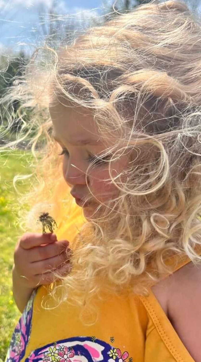 Competition Page | Sunshine and dandelions | Holly Tyson | My ...