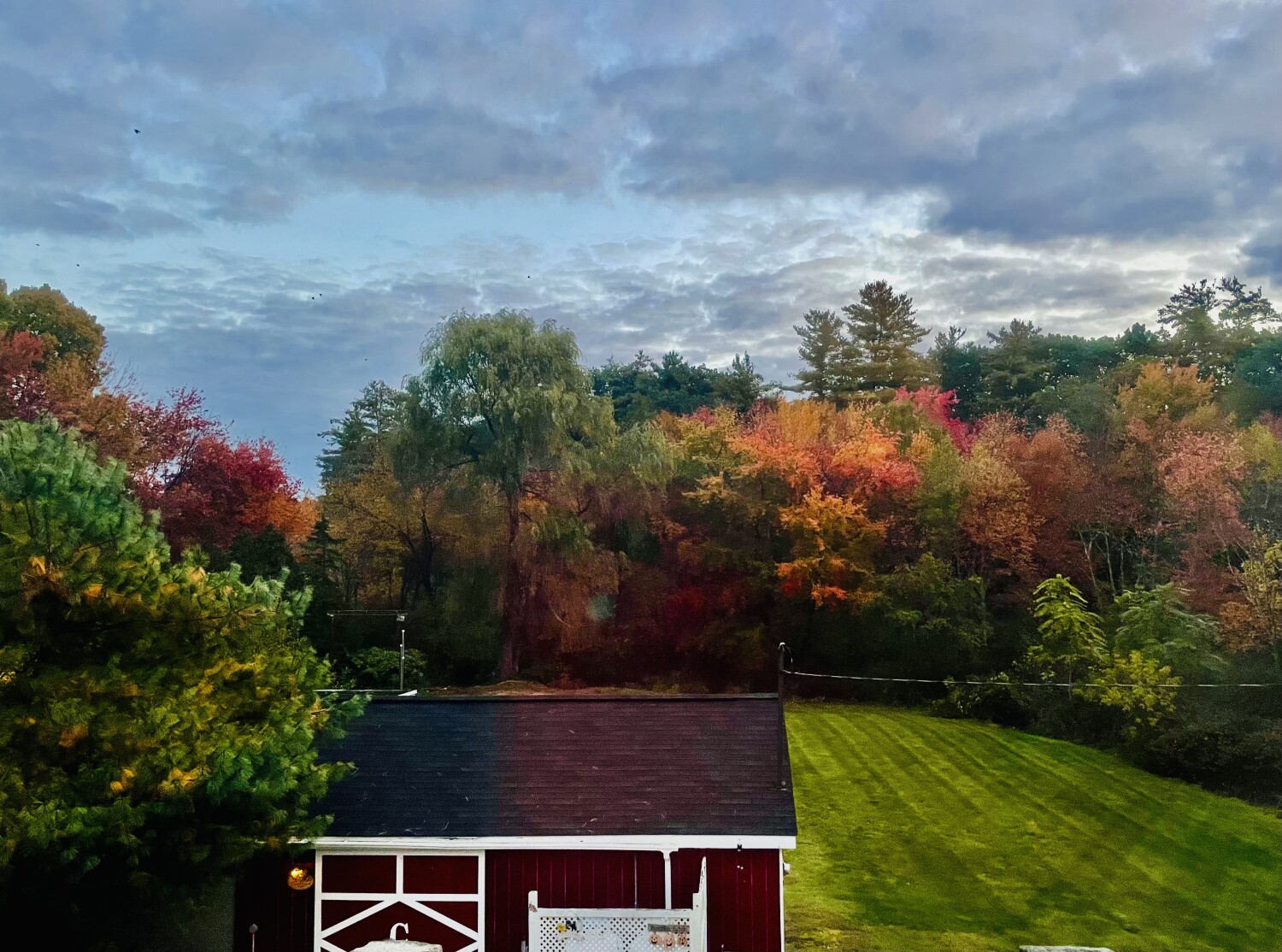 Competition Page | Fall in the backyard | Jeannie Chambers | View from ...