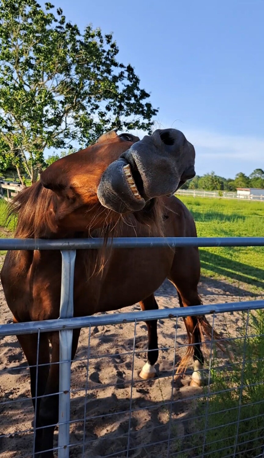 Competition Page | Say Cheese! | Susan Shirk | Every time I go out to ...