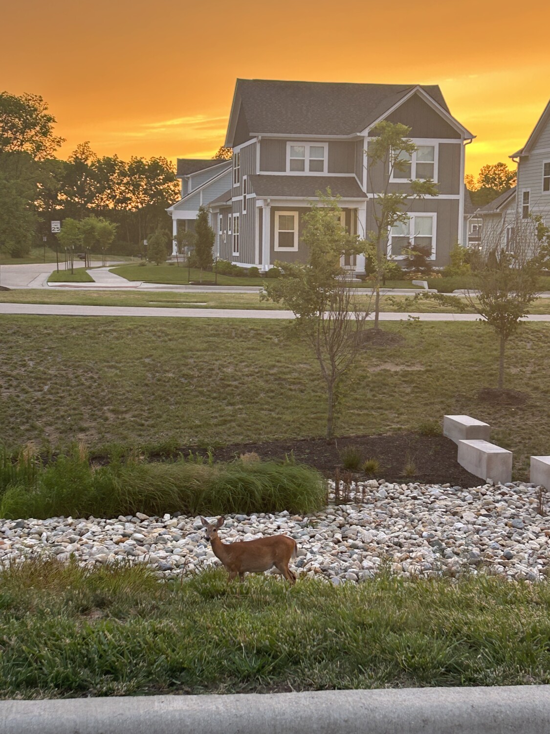 America’s Favorite Photos Competition Page | Sunset Serenade at Purdue ...
