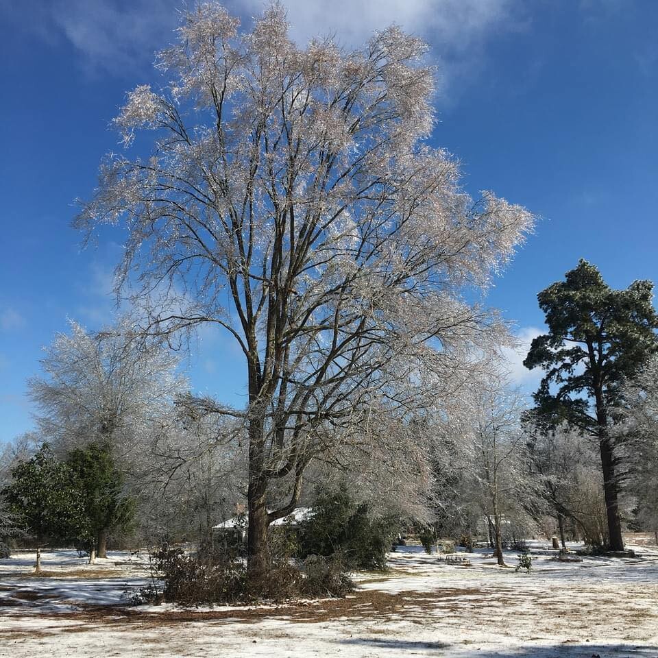 America’s Favorite Photos Competition Page | Winter 2024 in Texas ...