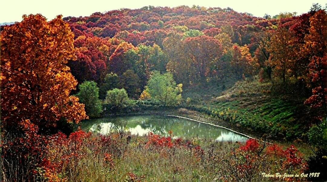 Competition Page | Fall On The Mo. Farm | BARBARA HATCHER | This photo ...