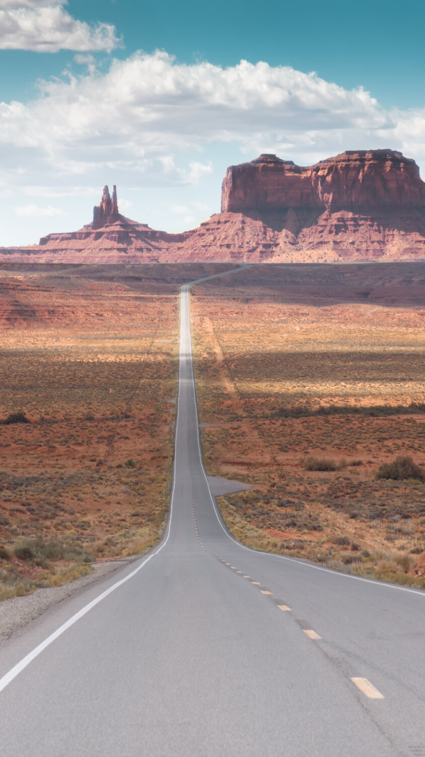 Competition Page | Forrest Gump Stop | Gustavo Bernal | While ...