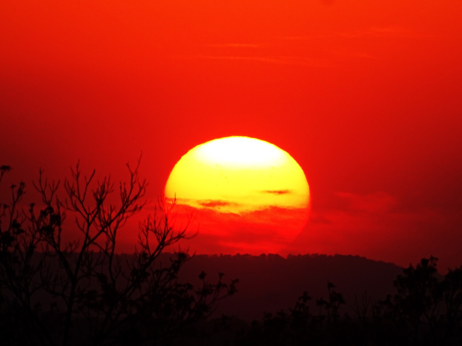 Competition Page | My Sleepy Sun | Rhonda Russell | I took this at ...