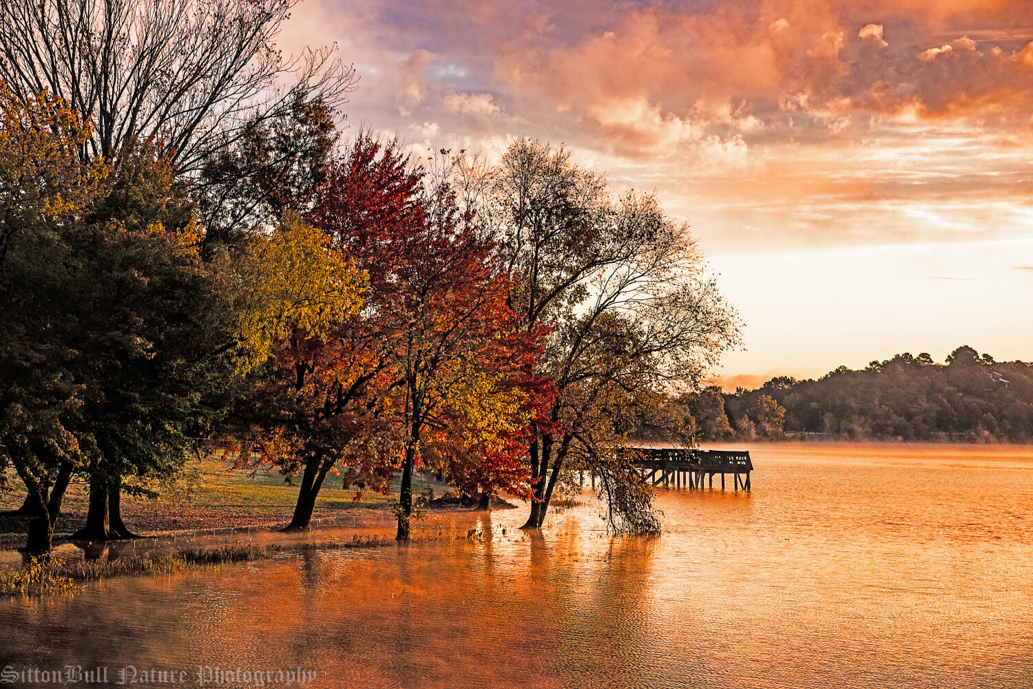 America’s Favorite Photos Competition Page | Sunrise wrapped in fall ...