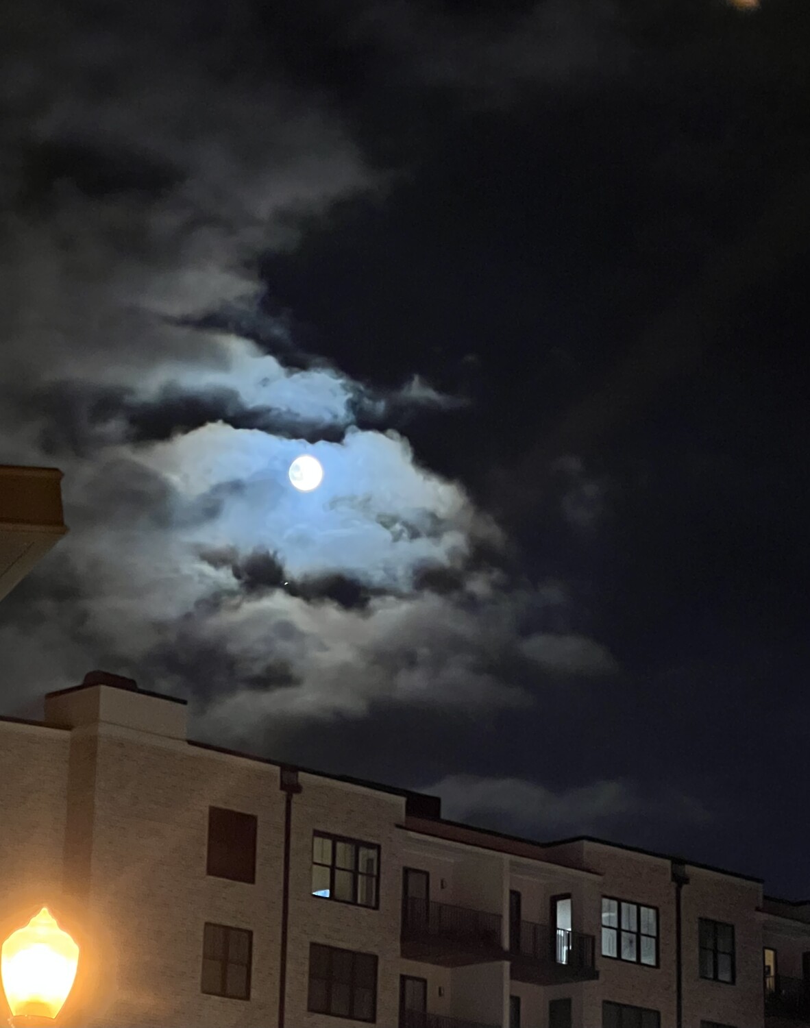 America’s Favorite Photos Competition Page | Walking after Midnight ...