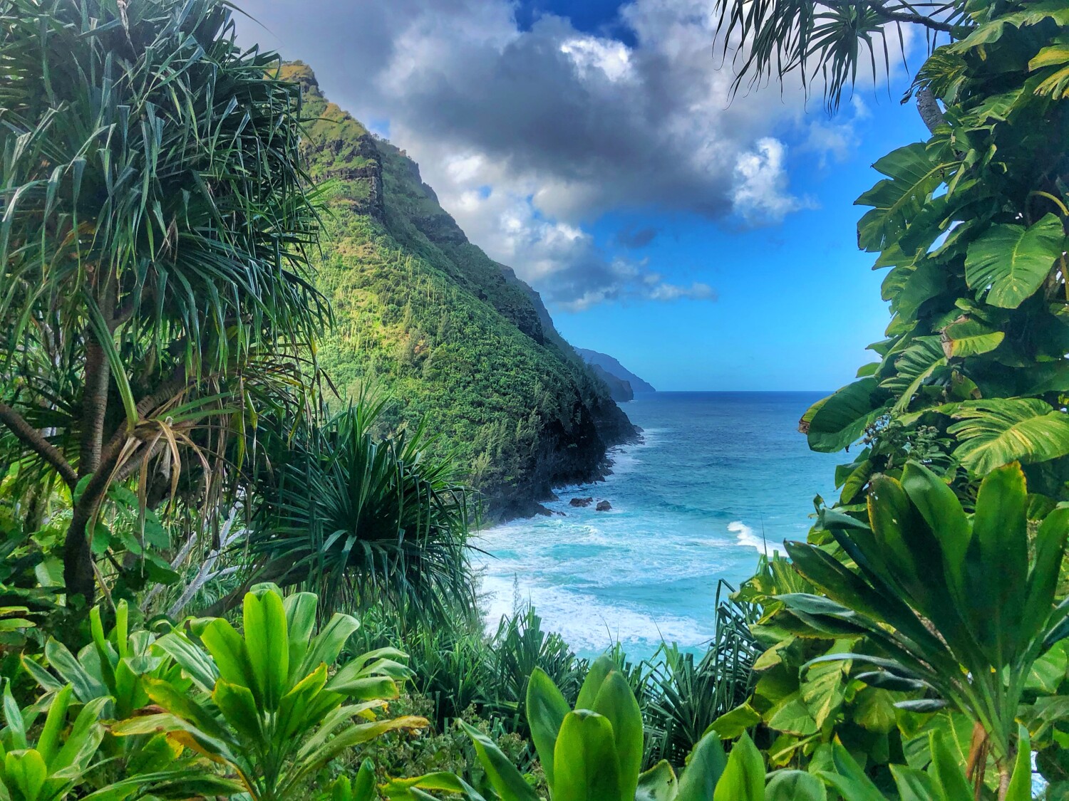 Competition Page | NAPALI COAST COVE | Hannah Reyes | This picture was ...