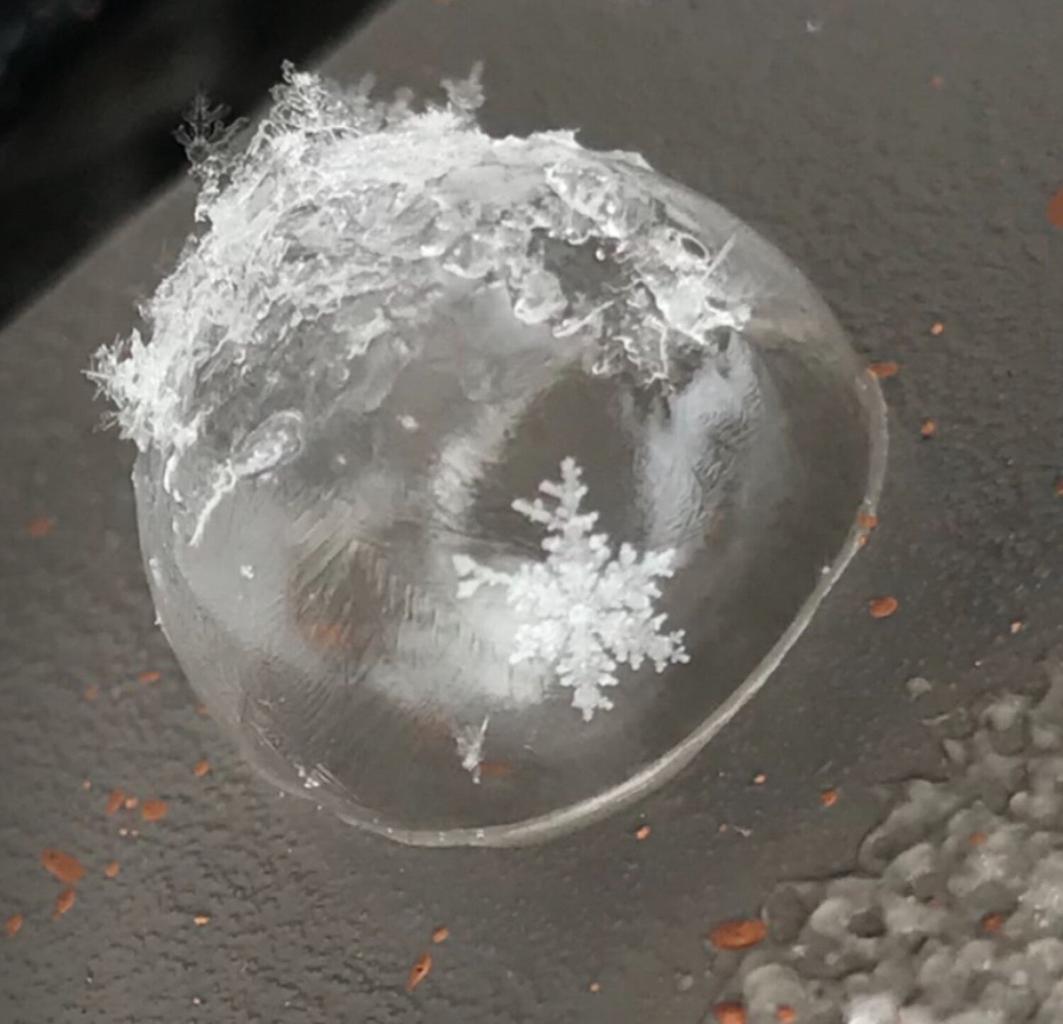 Competition Page | Freezing Snowflake Bubble | Val Coleman | A ...