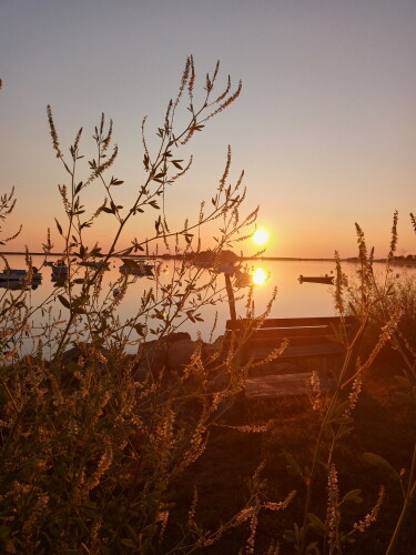 Competition Page | Sunrise on MV Pond | Beverly Quinn Wheeler | My ...