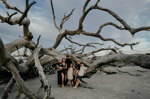 Competition Page | Drift Away At Driftwood Beach | Tiffany Bigham | We ...