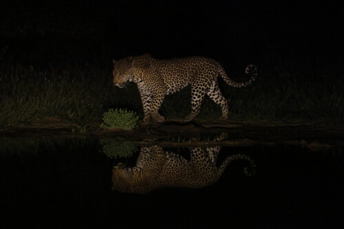 Competition Page | Natural Reflection | Scott Whaley | Reflection of a ...